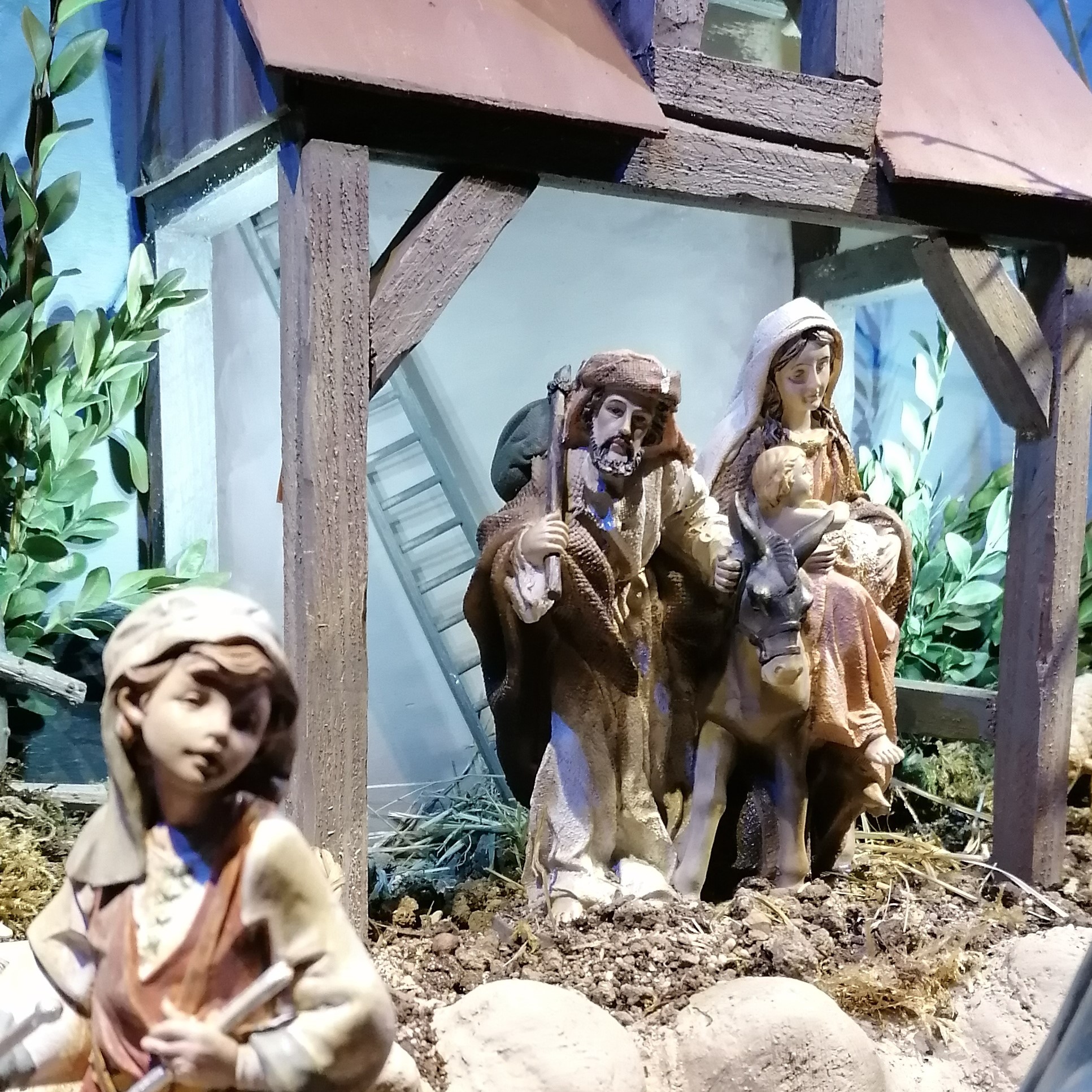 Kastenkrippe – Burglesau